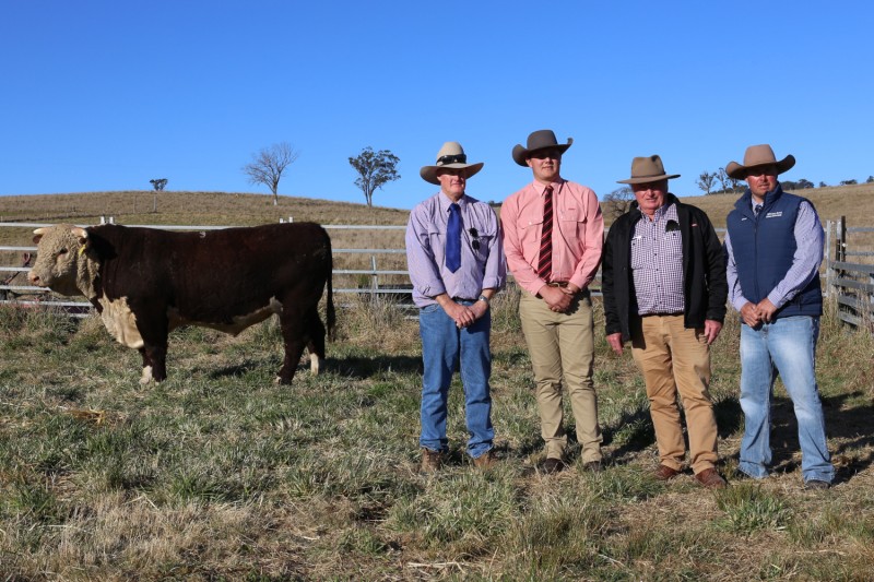 39th Annual Amos-Vale Hereford Bull Sale - Amos Vale Herefords
