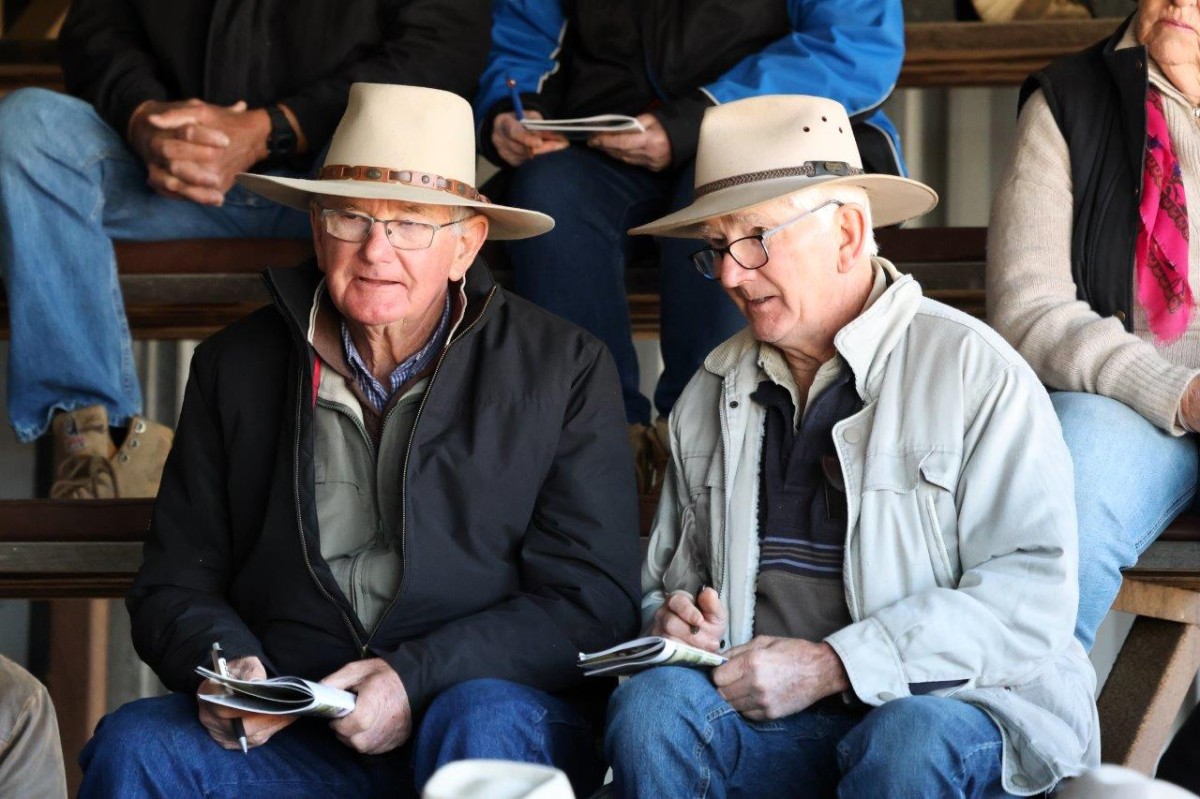 41st Annual Amos-Vale Hereford Bull Sale